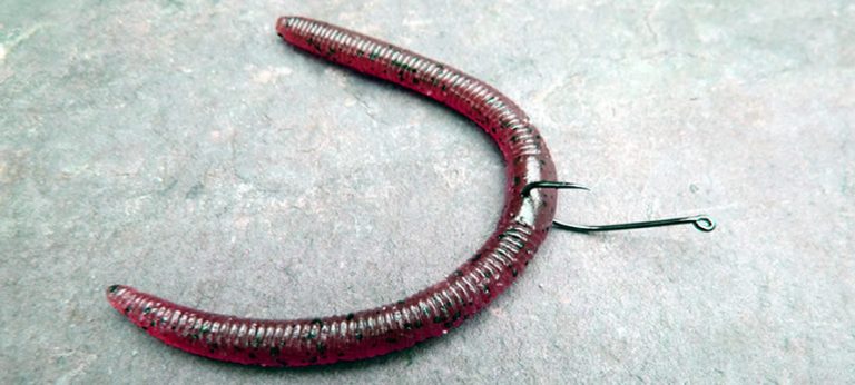 Wacky Worming - Bass Fishing Videos and Tips | BASSIN' USA