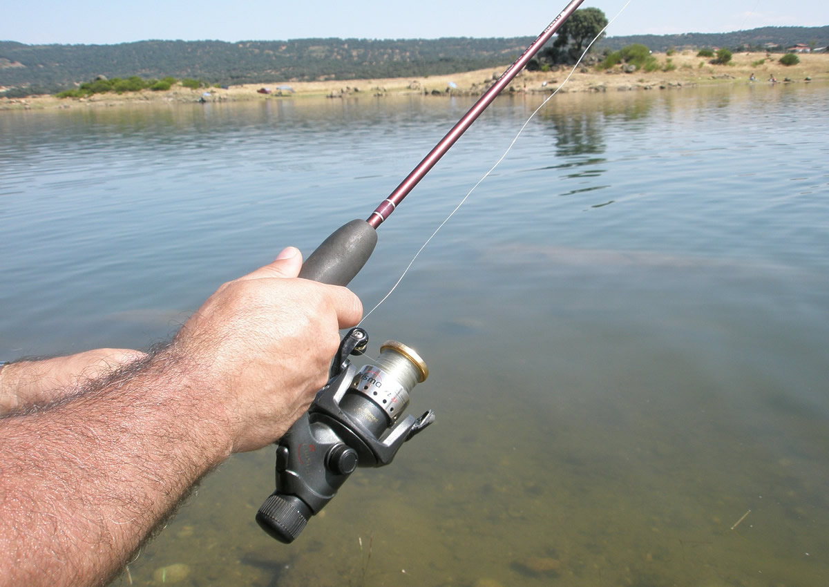 PART 3: What is Your Lure Doing - Bass Fishing Videos and Tips | BASSIN ...