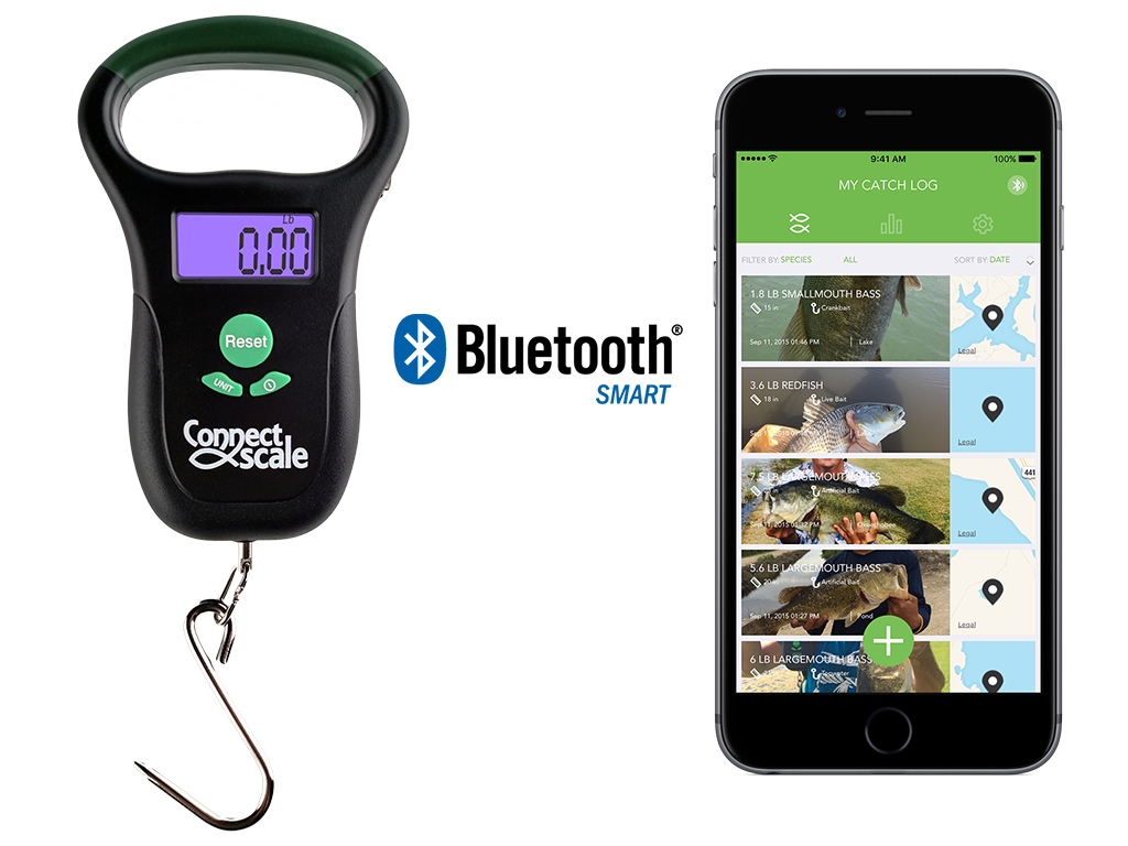 Connect Scale Full Review [VIDEO] - Bass Fishing Videos and Tips ...