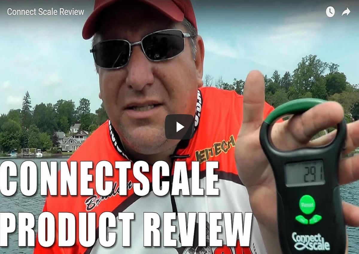 Connect Scale Full Review [VIDEO] - Bass Fishing Videos and Tips ...